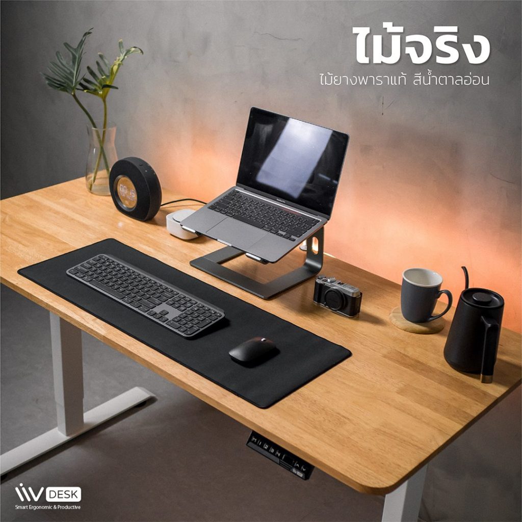 Liv Standing Desk Pro (Dual Motor) Ergonomic : Cylinder Design - Liv ...